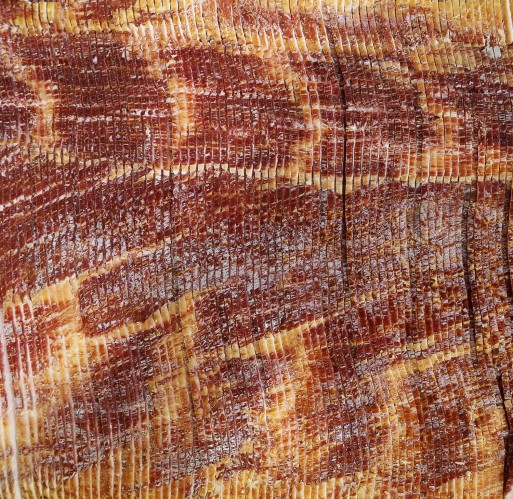 Fz Bacon Regular 16 18 Kunzler 10 Lb Walnut Creek Foods